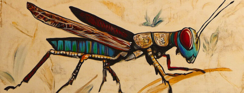 History of Chapulines - Chapulines USA